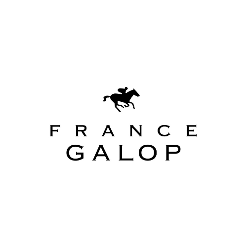 Team Services - Références